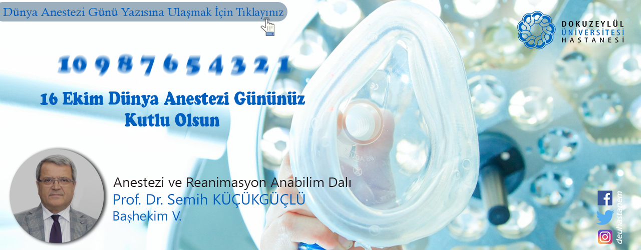 Type3 Type Edit 2003 V5300